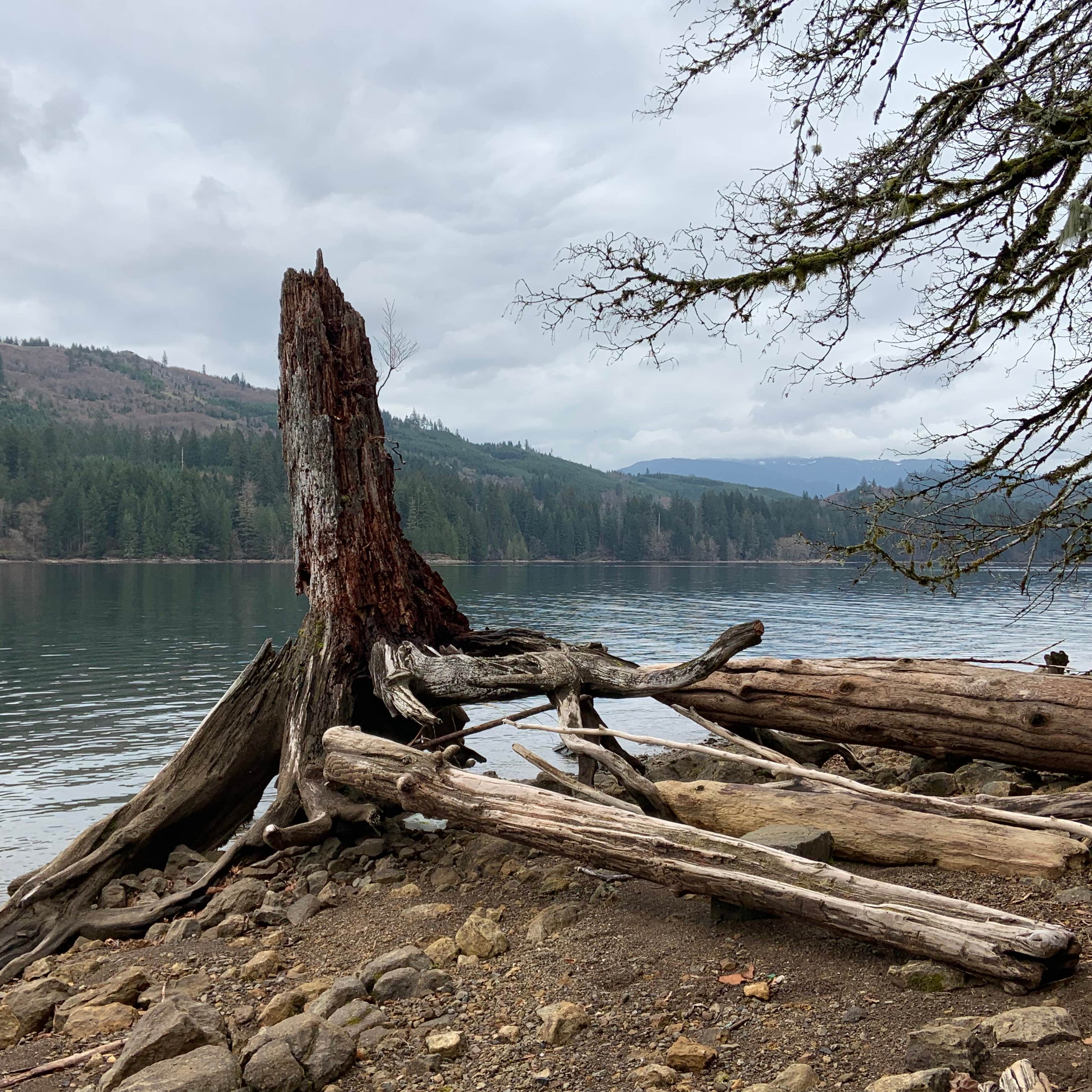 Lake Merwin Camper's Hideaway (MEMBERS ONLY) | Yacolt, Washington