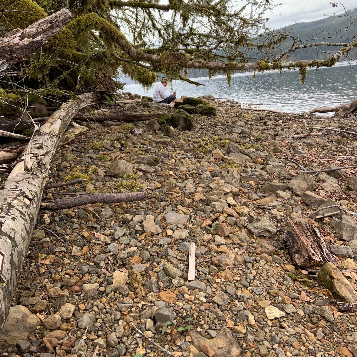 Lake Merwin Camper's Hideaway Camping | The Dyrt