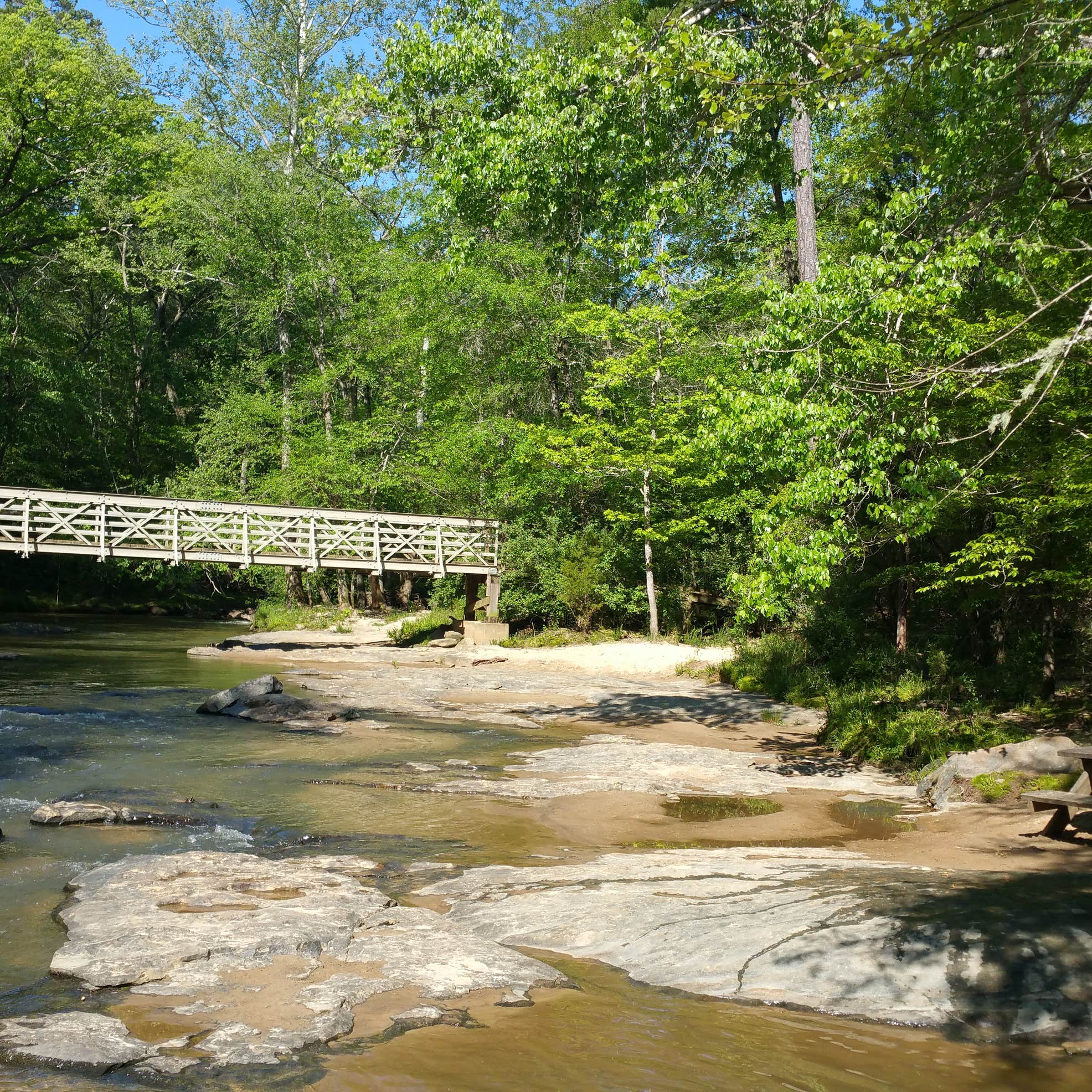 Croft State Park Camping | The Dyrt