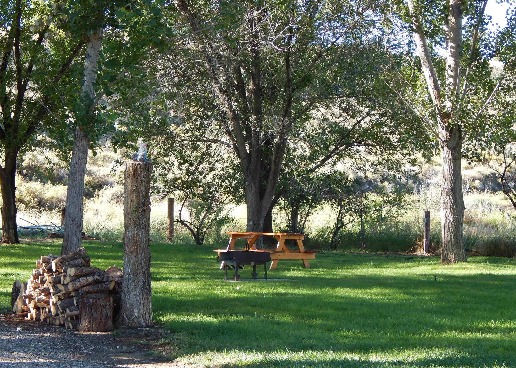 Shell Campground Camping | The Dyrt