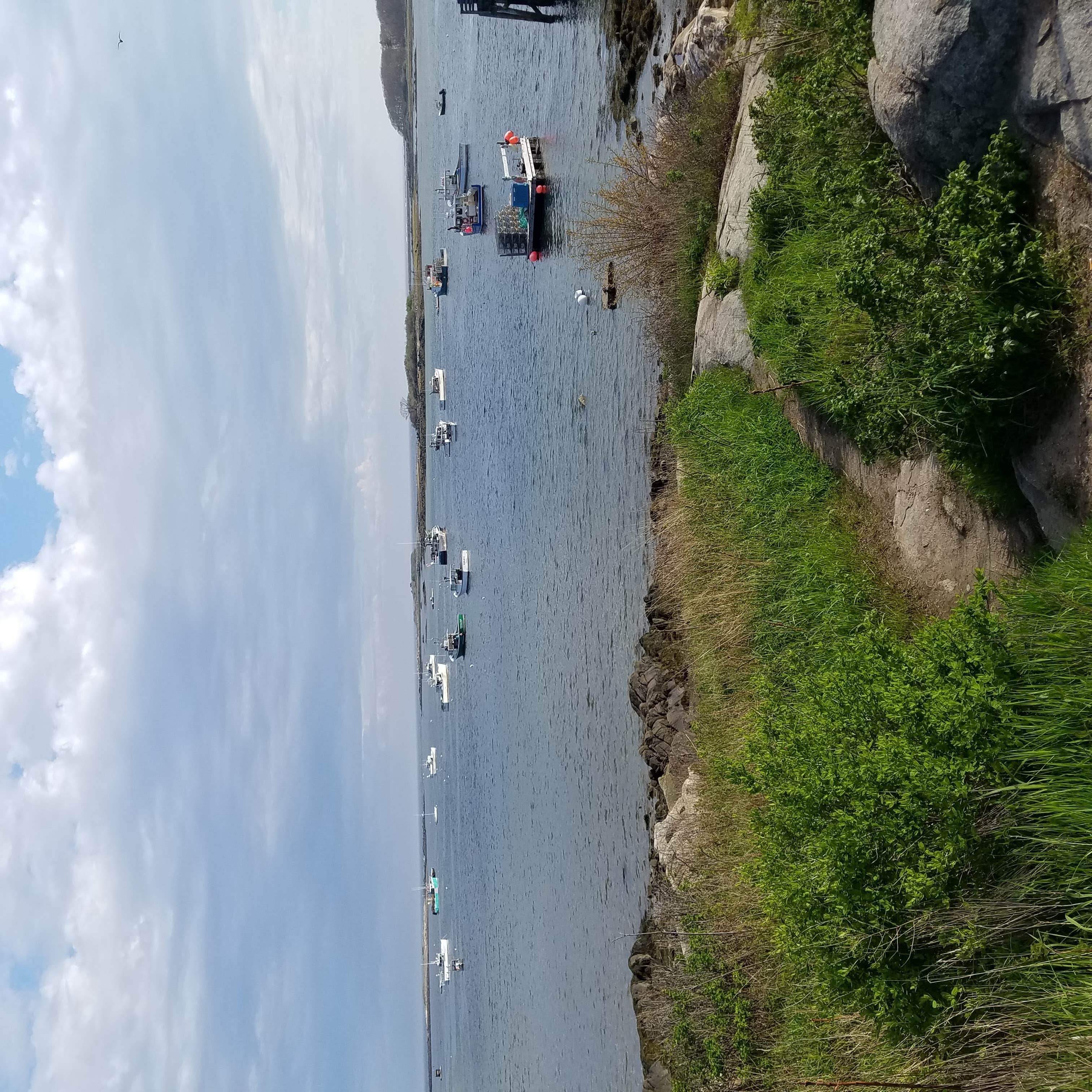 Sandy Pines Campground | Kennebunkport, ME