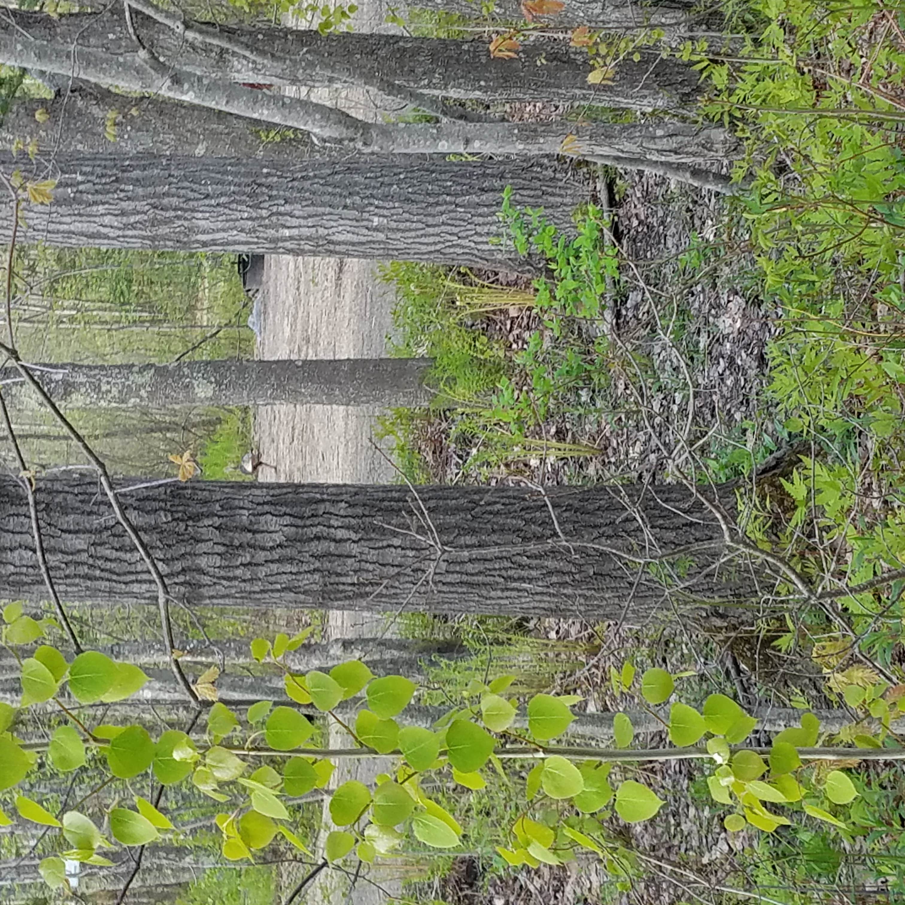 Sandy Pines Campground | Cape Porpoise, Maine
