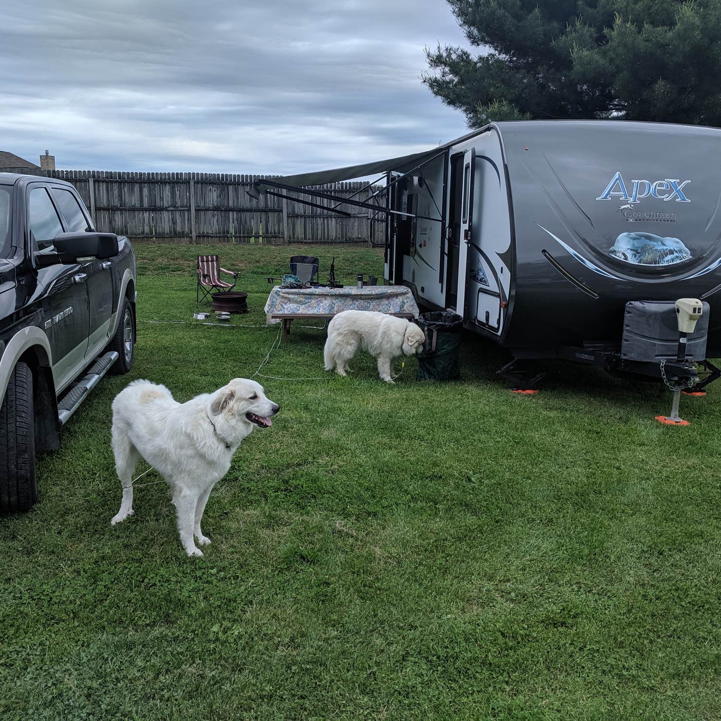 Buttercup Woodlands Campground | Homeacre-Lyndora, Pennsylvania
