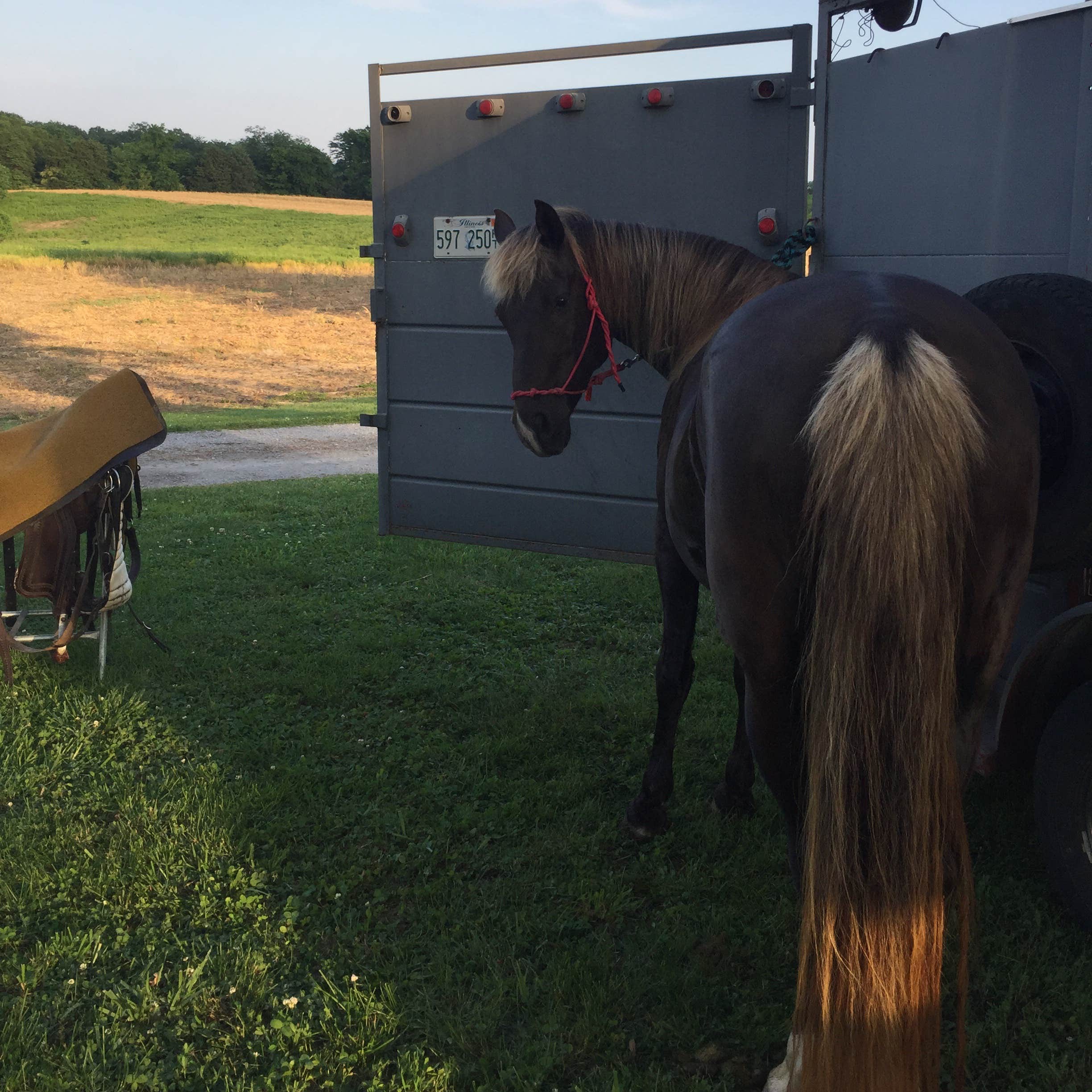 Randolph County State Recreation Area Camping | Chester, Illinois