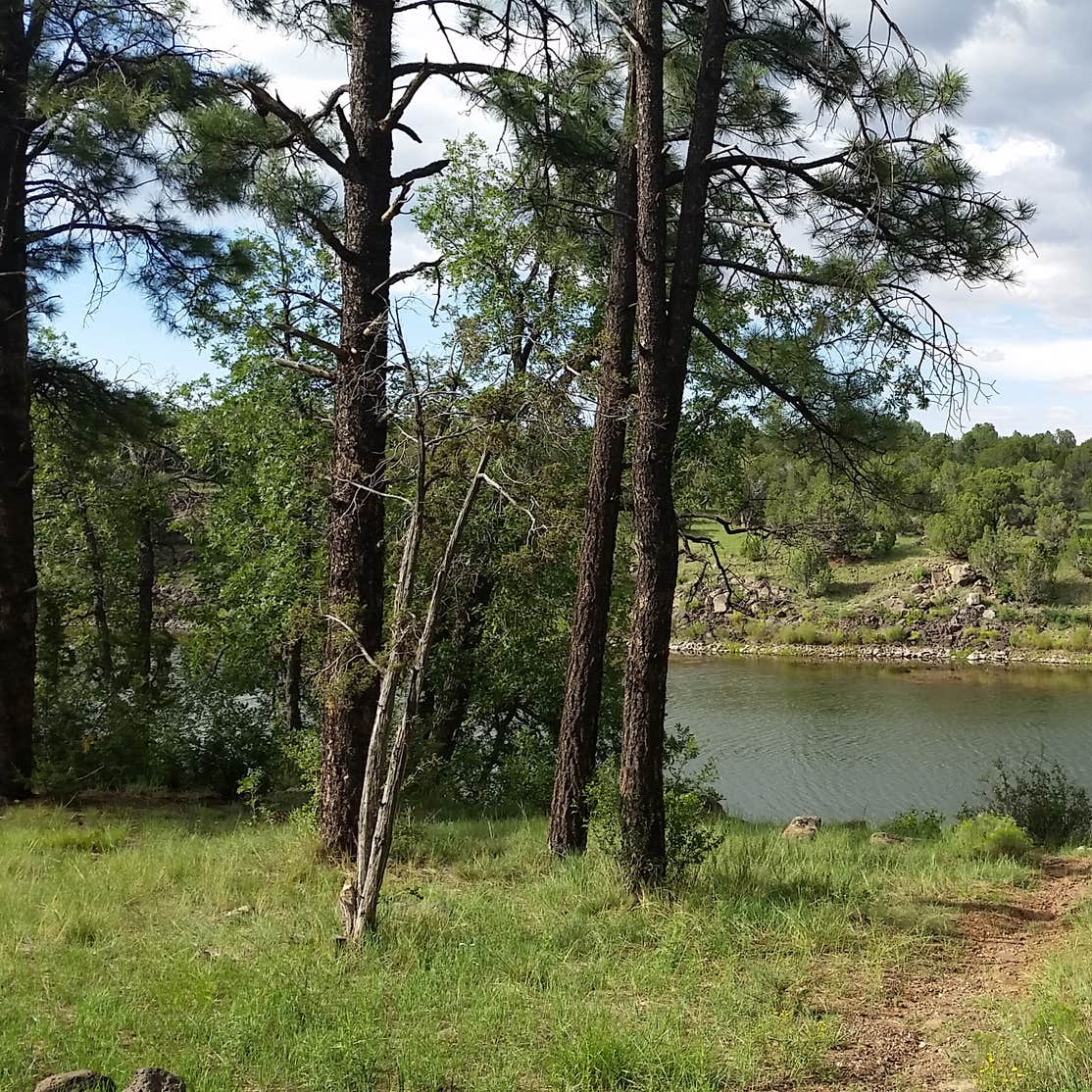 Fool Hollow Lake Recreation Area Campground Camping | The Dyrt