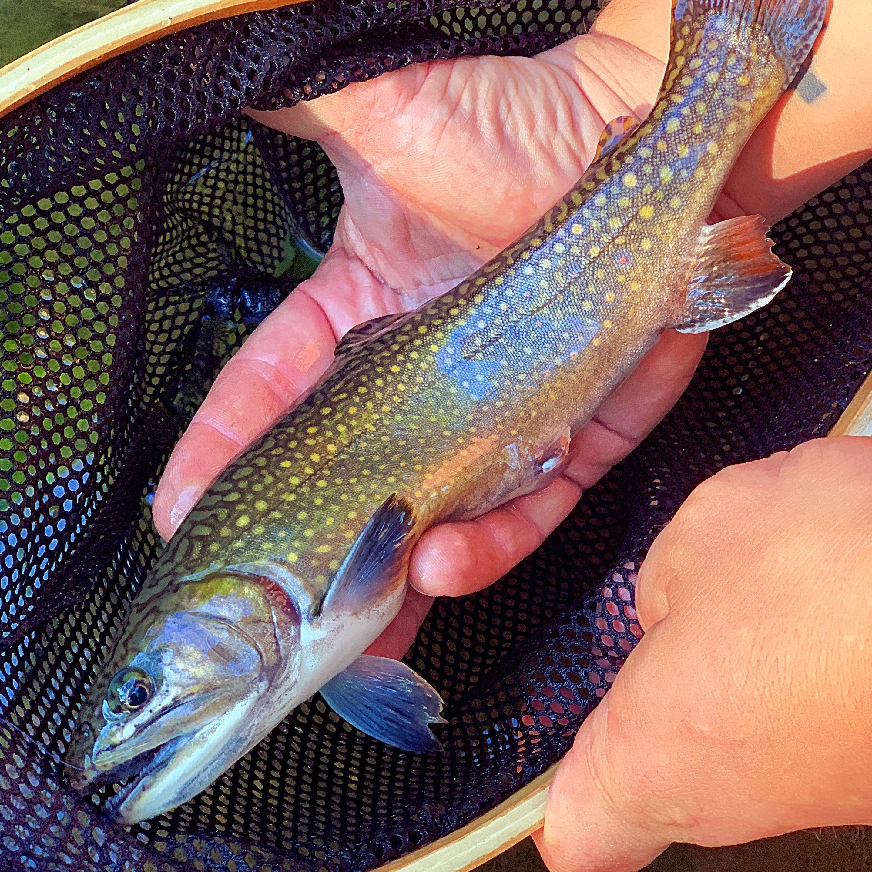 Helton Creek Campground | Crumpler, NC