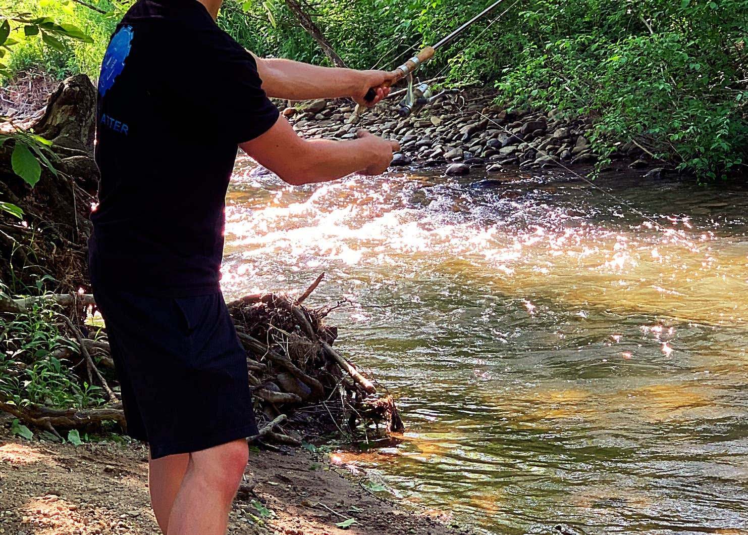 Helton Creek Campground Camping | Helton, NC | The Dyrt