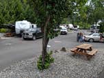 Bridge RV Park & Campground Camping | The Dyrt