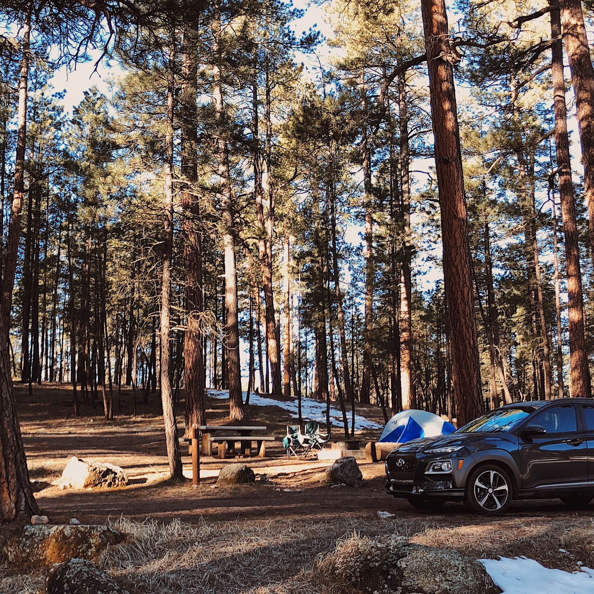 Clints Well Campground | Happy Jack, Arizona