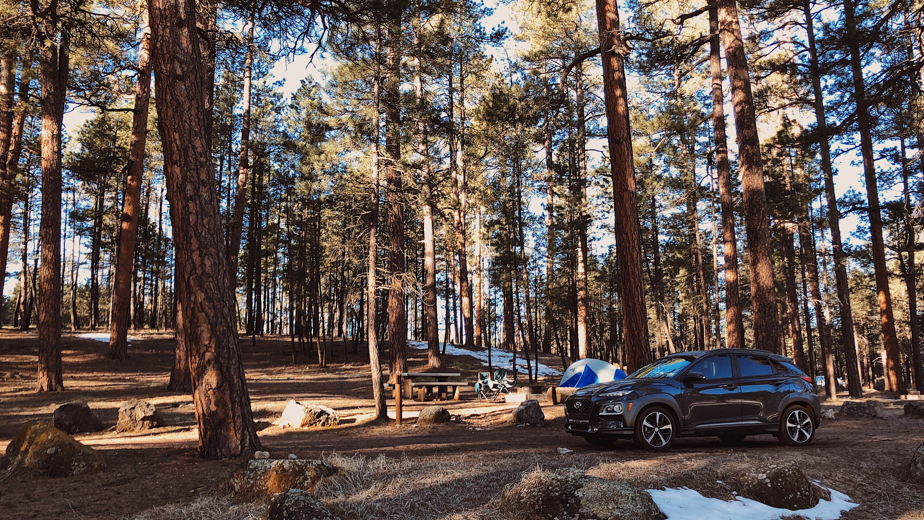 Clints Well Campground | Happy Jack, Arizona