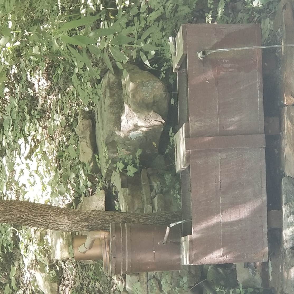 Prentice Cooper State Forest Dispersed Camping | Signal Mountain, Tennessee