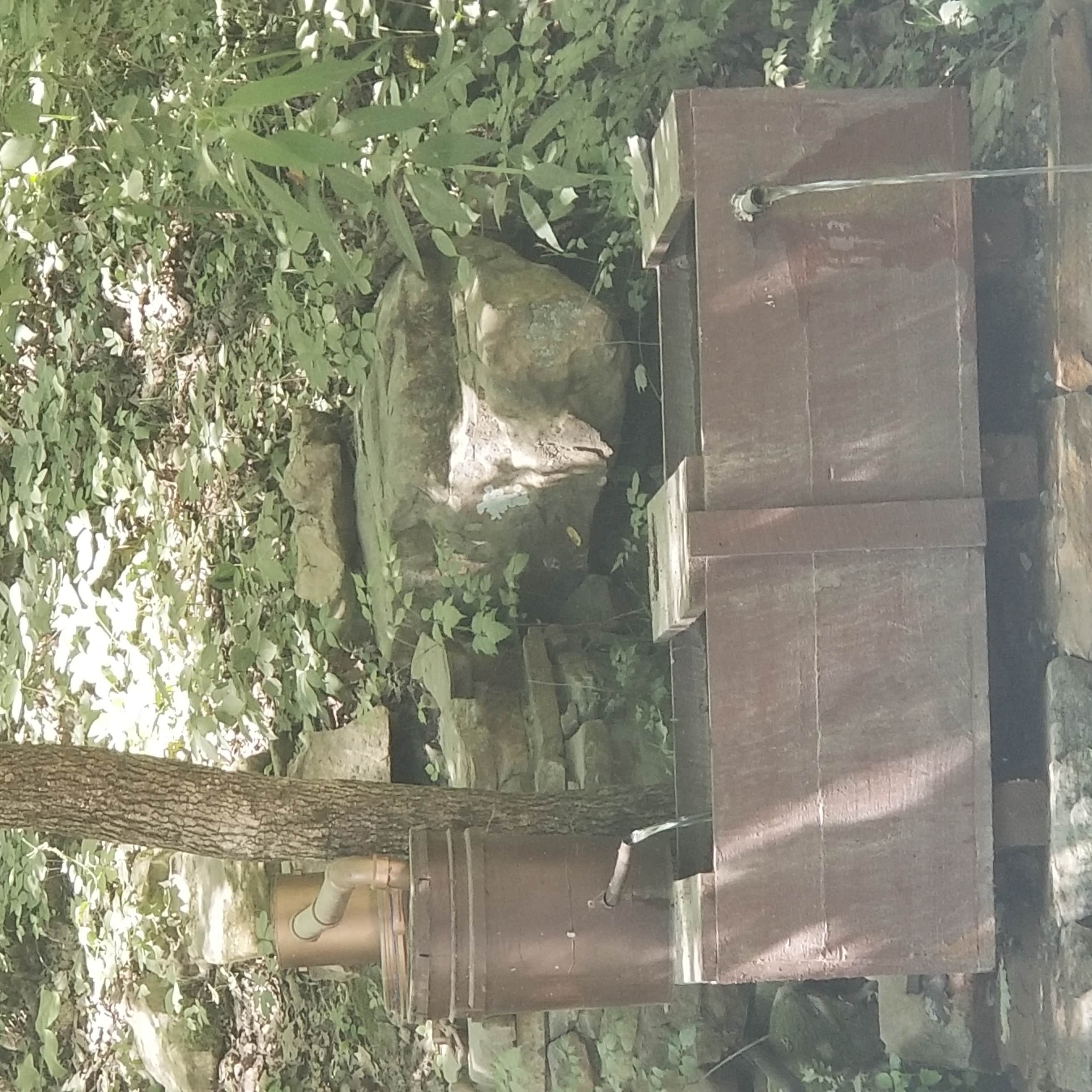 Prentice Cooper State Forest Dispersed Camping | Signal Mountain, Tennessee