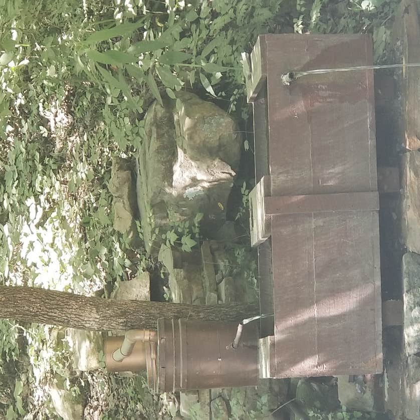 Prentice Cooper State Forest Dispersed Camping | Signal Mountain, Tennessee