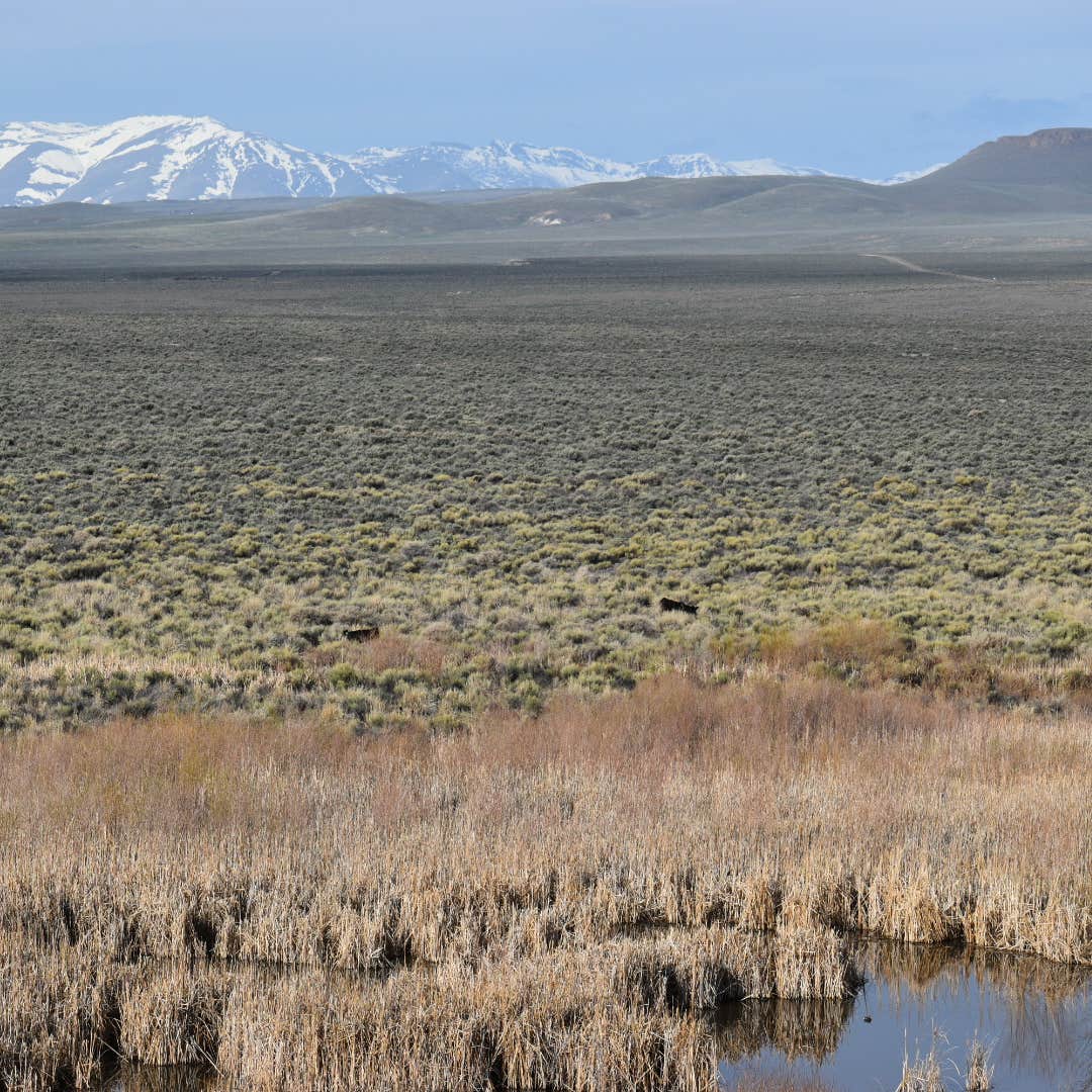 Willow Creek - Willow Creek Hot Springs Camping | The Dyrt