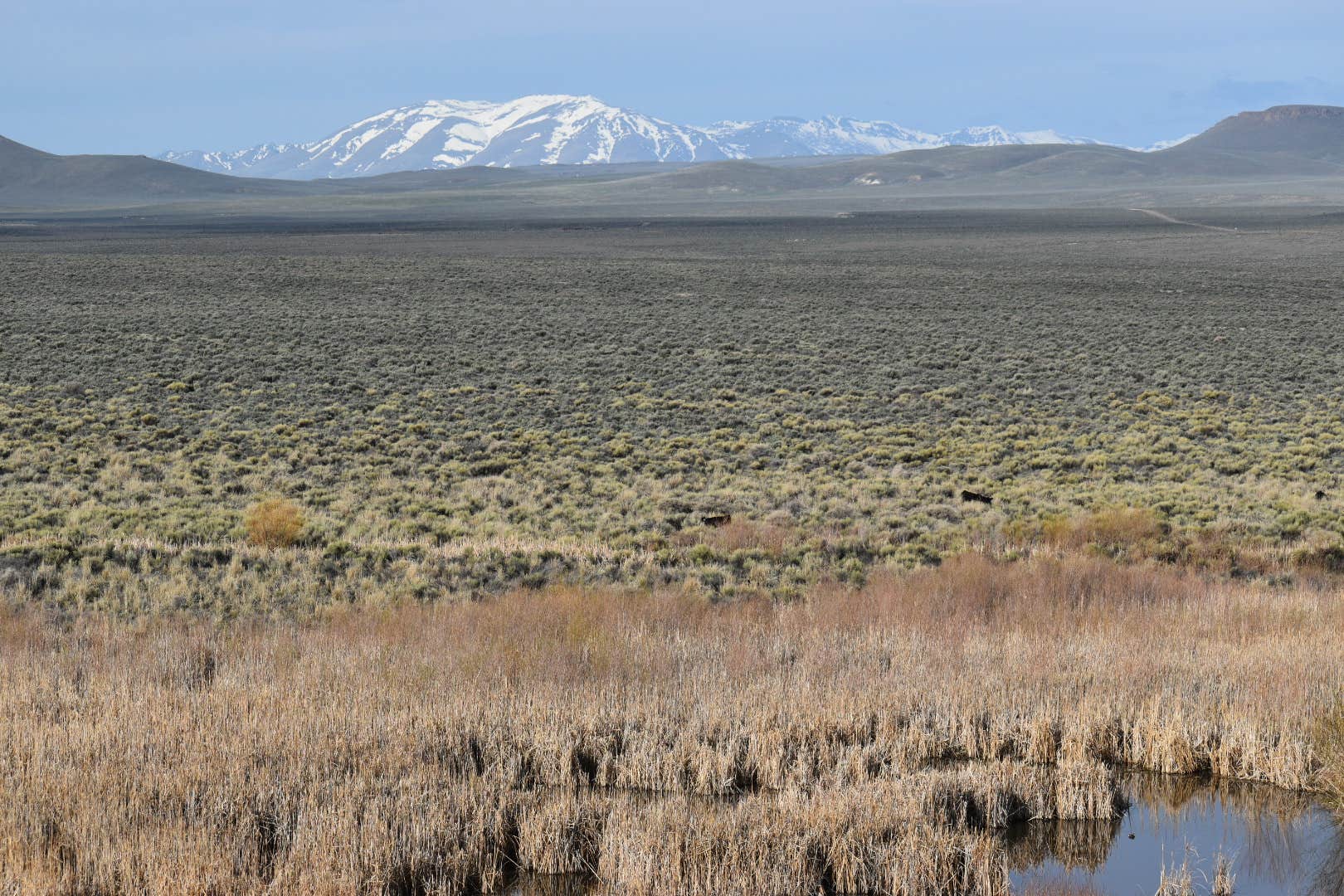 Willow Creek - Willow Creek Hot Springs Camping | Fields, OR