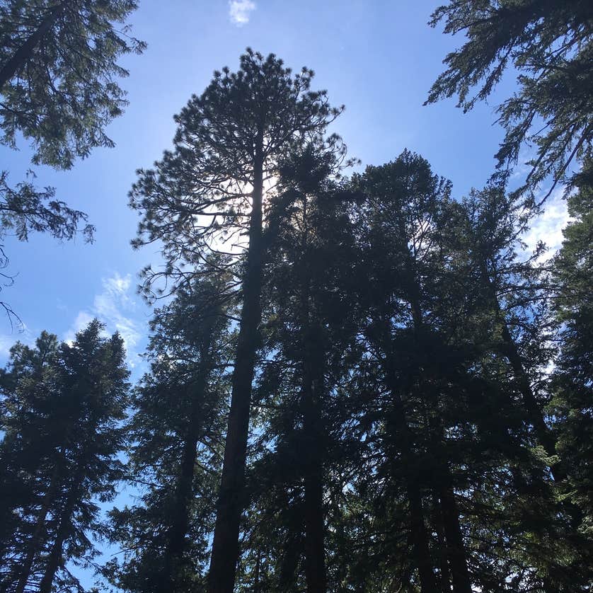 Jackson County Howard Prairie Lake Resort Camping | The Dyrt