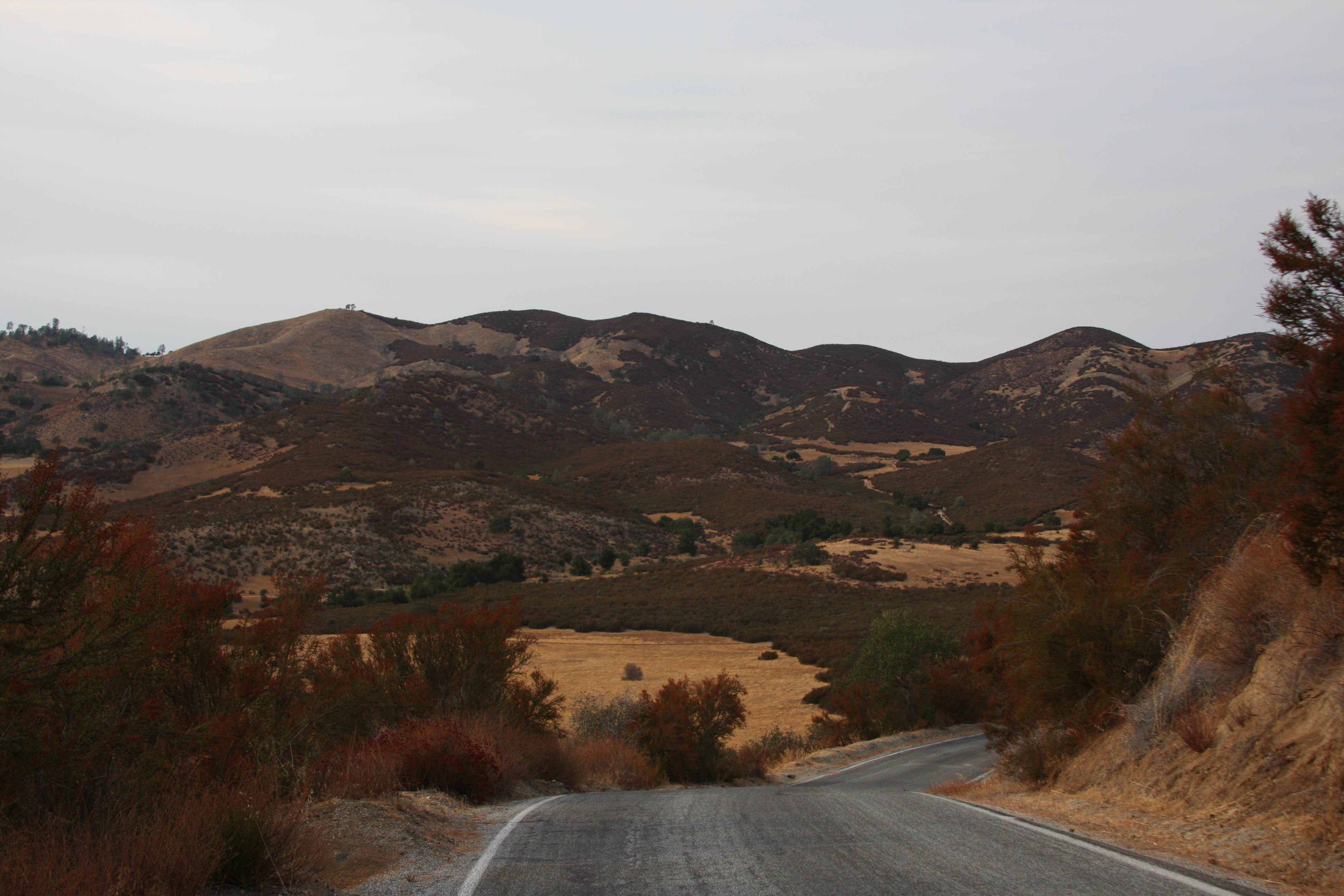 Pinnacles Campground — Pinnacles National Park | Paicines, CA