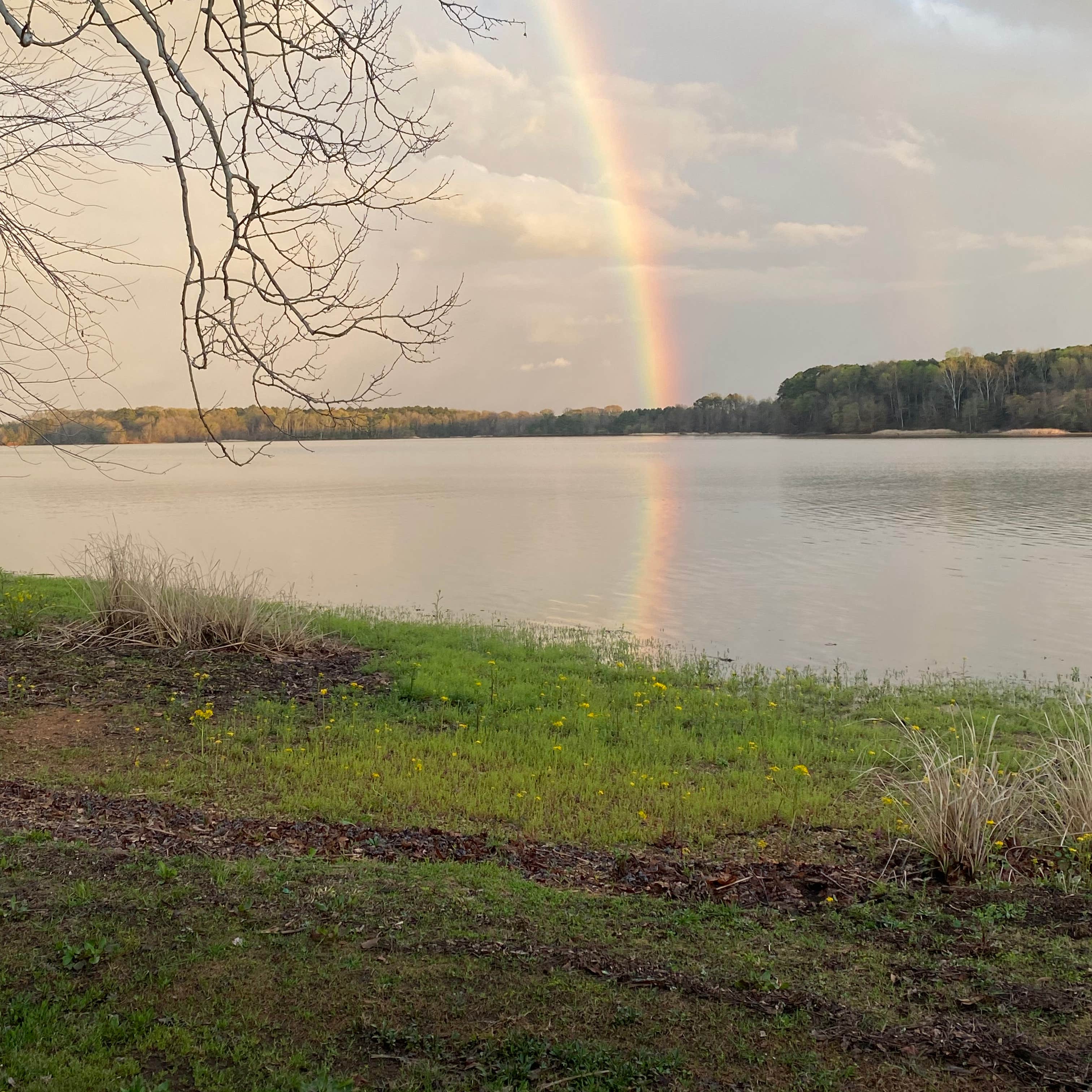 Decatur / Wheeler Lake KOA Holiday Camping | Trinity, Alabama