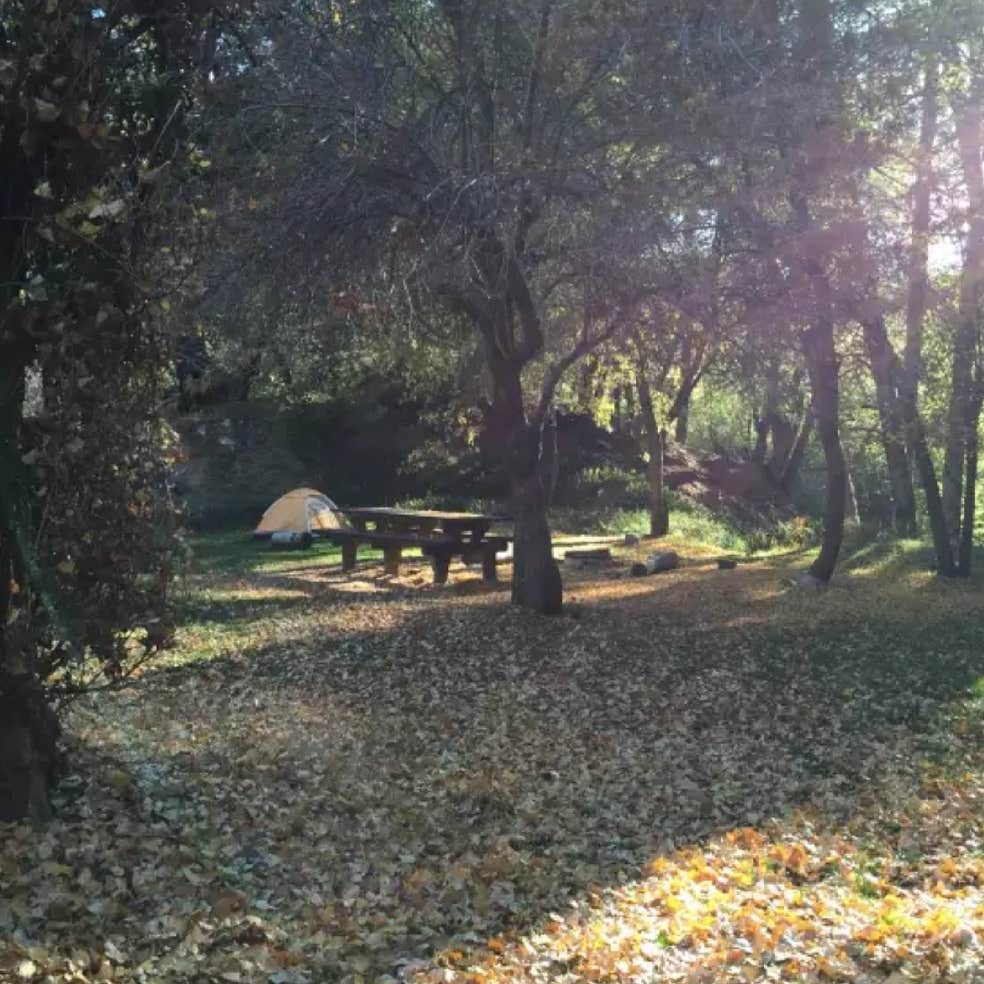 Valley Forge Trail Camp hike in. no drive | Flintridge, CA