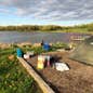 Camp Bullfrog Lake Camping | The Dyrt