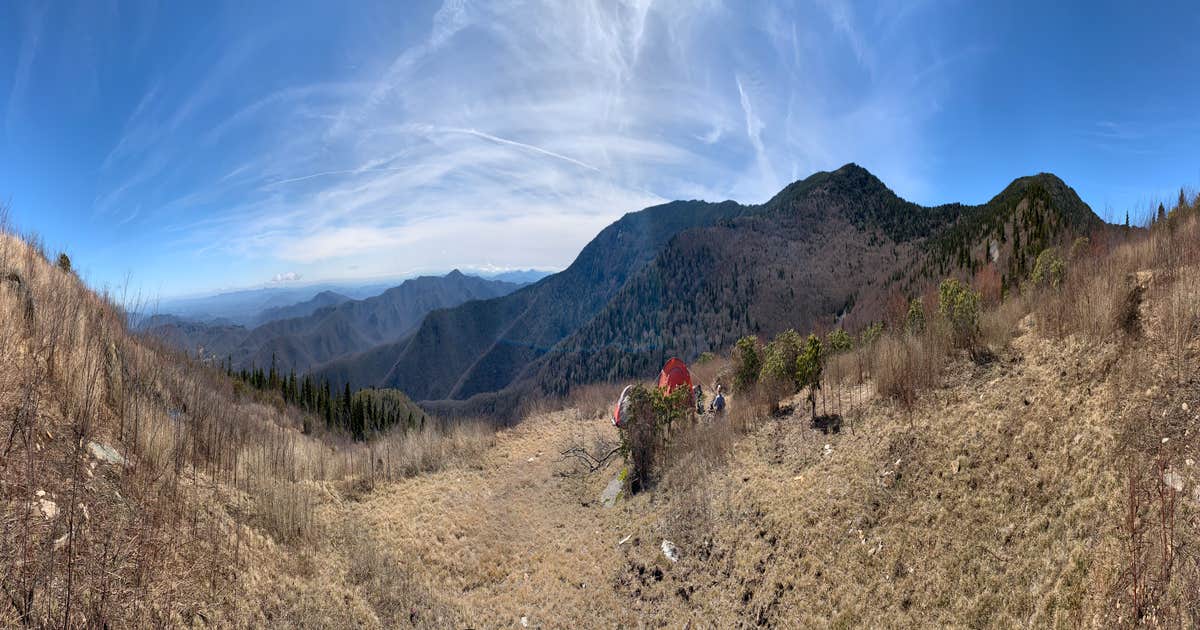 Maple Camp Bald | Pisgah National Forest, NC