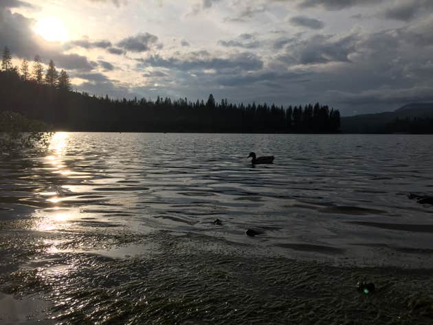 Spring Cove Campground Camping | The Dyrt