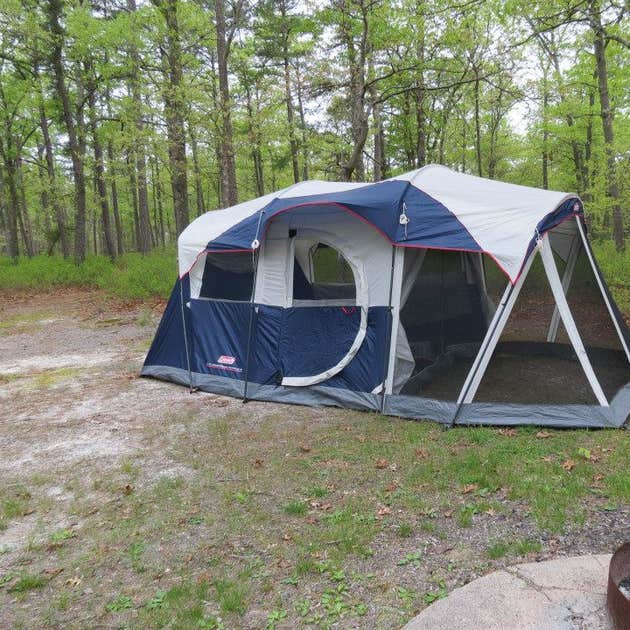 Bass River State Forest Camping | The Dyrt