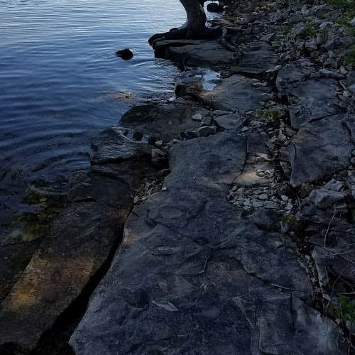 Indian Point Camping | The Dyrt