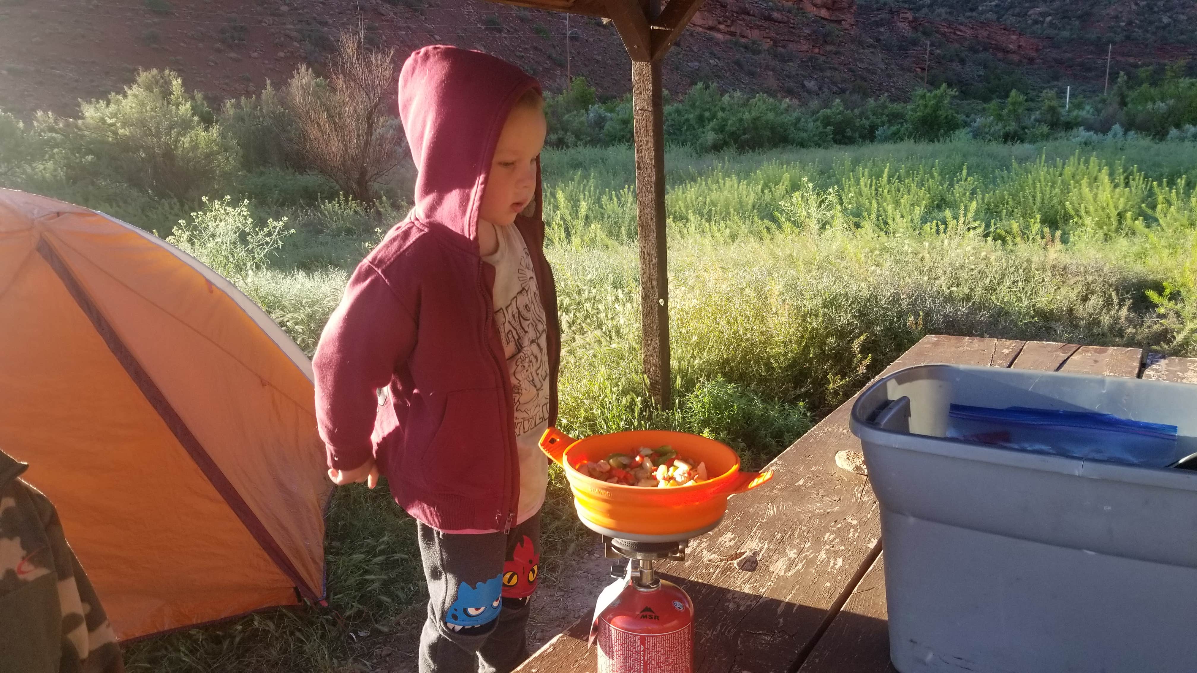 Bedrock Recreation Site Camping | Bedrock, CO