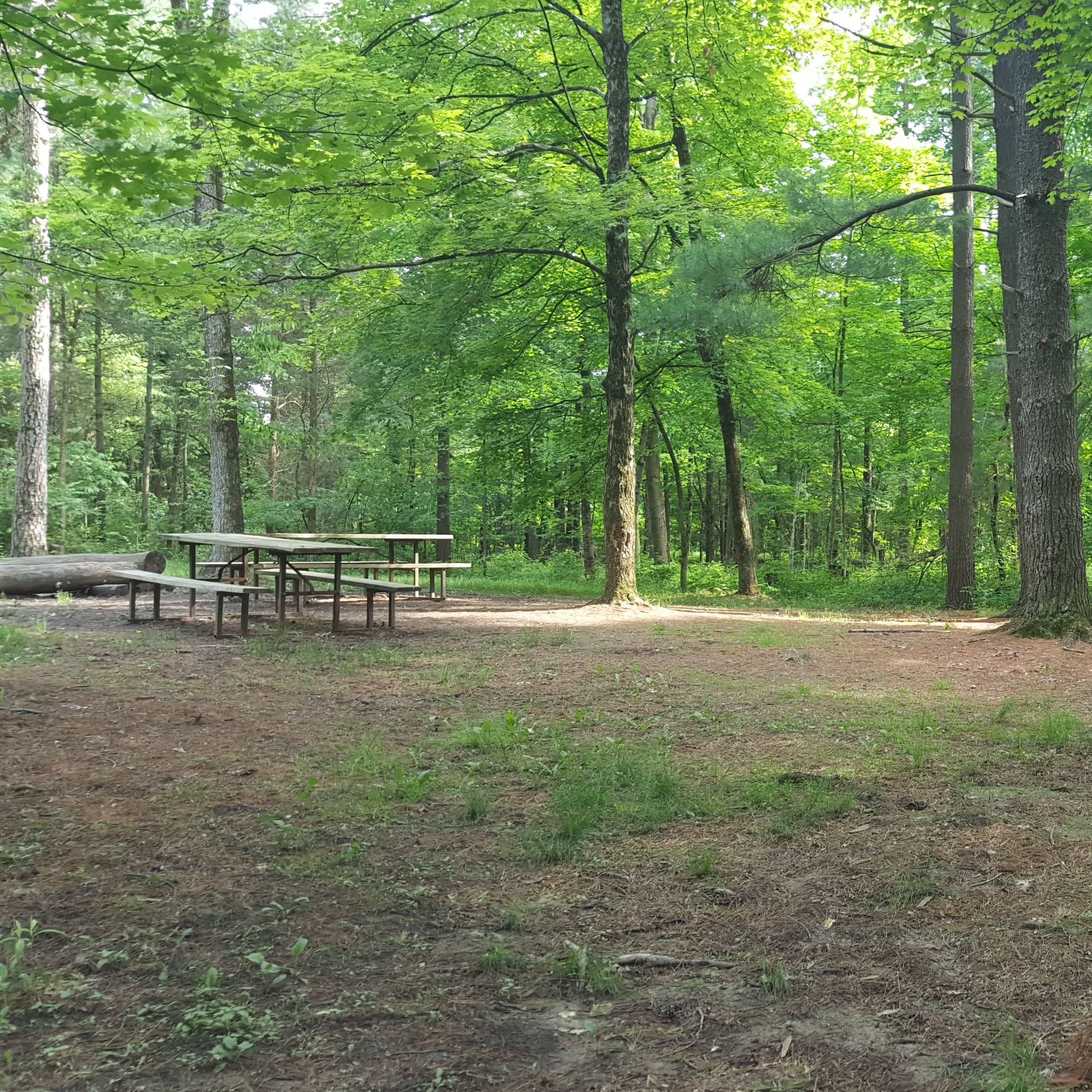 Dayton Metro Parks (Five Rivers Metroparks) Camping | The Dyrt