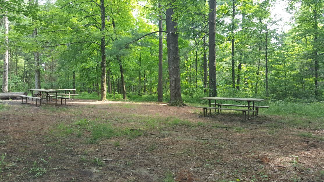 Dayton Metro Parks (Five Rivers Metroparks) | The Dyrt
