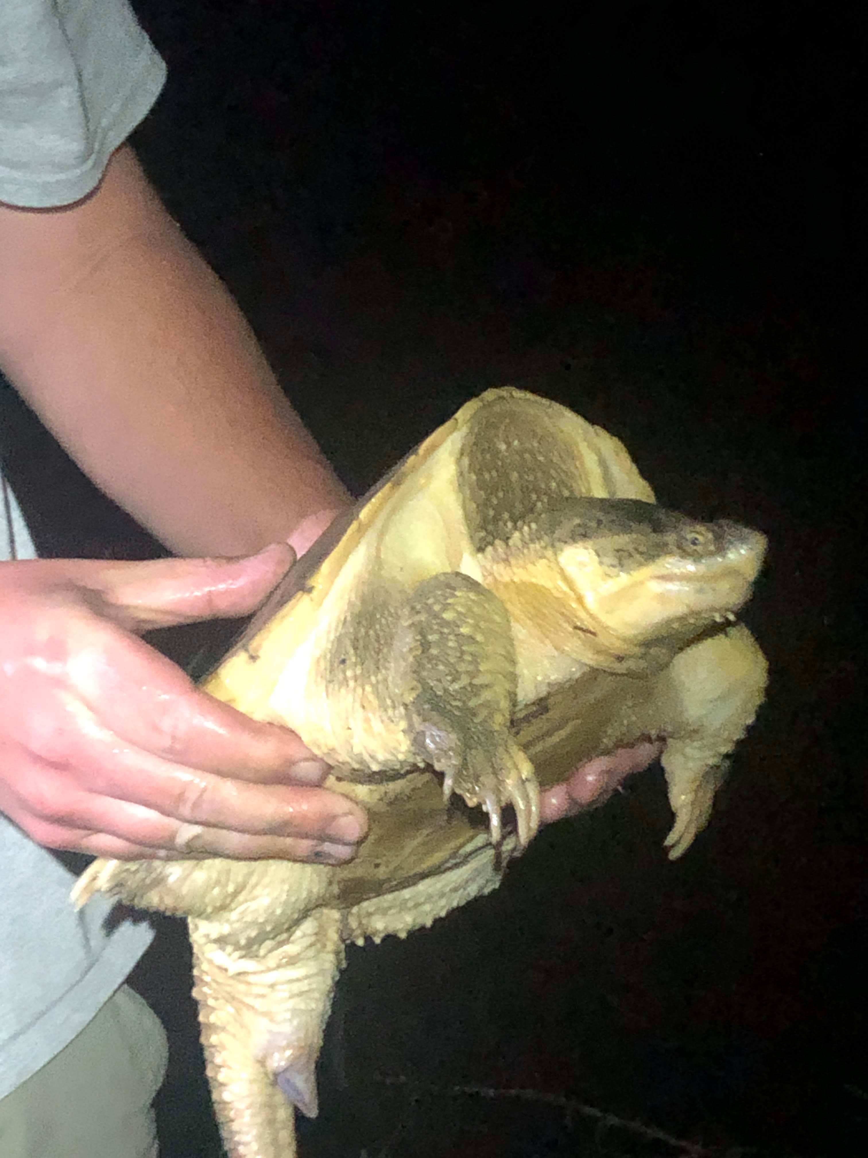 Allen Ranch Campground | Hot Springs, SD