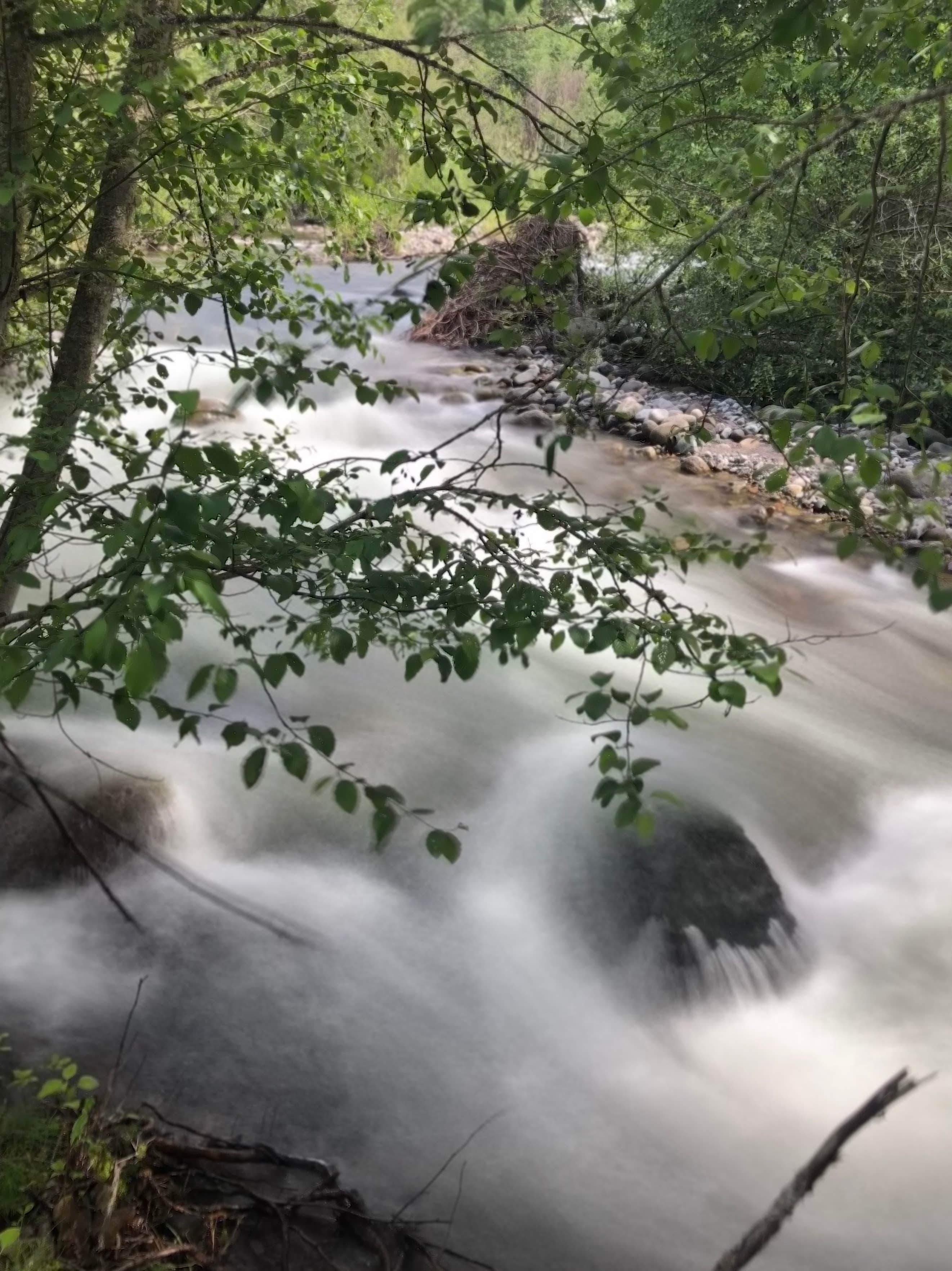 Toll Bridge Park Campground | Mount Hood, OR