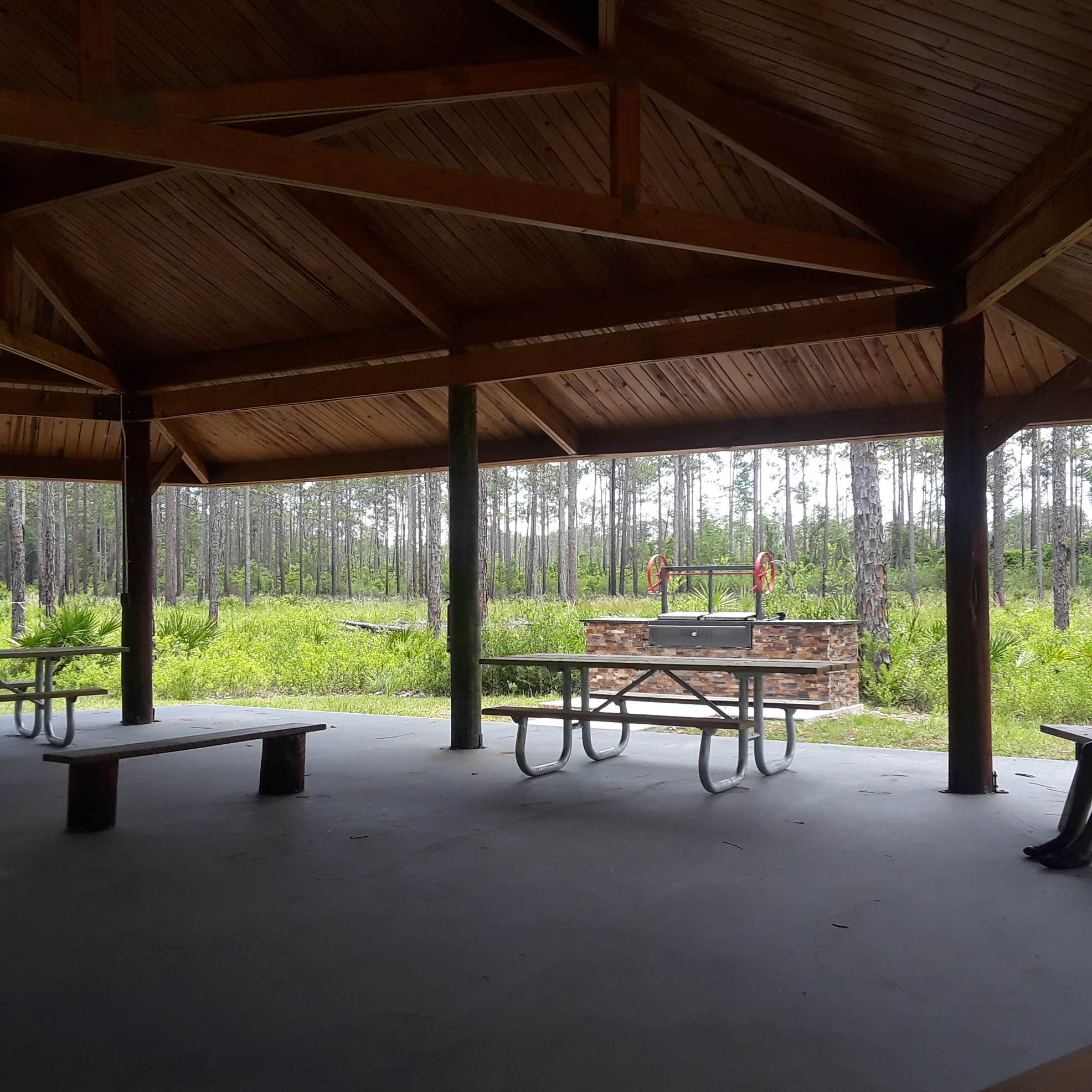 Cary State Forest Camping | The Dyrt