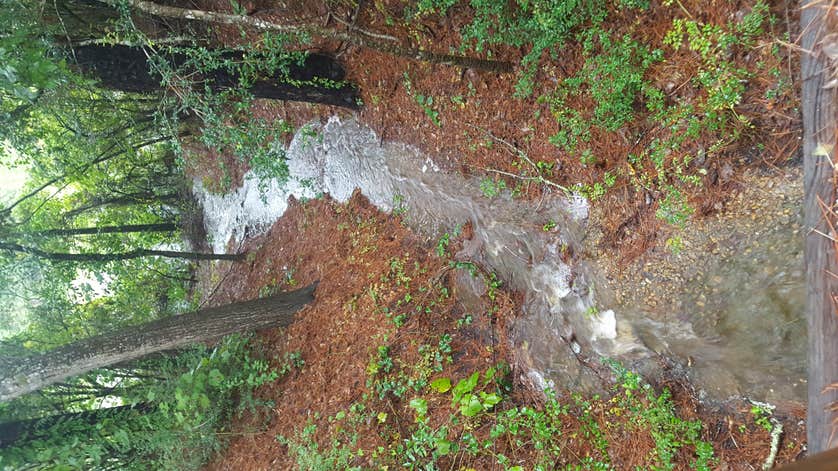 Camp Mohawk County Park Camping | The Dyrt