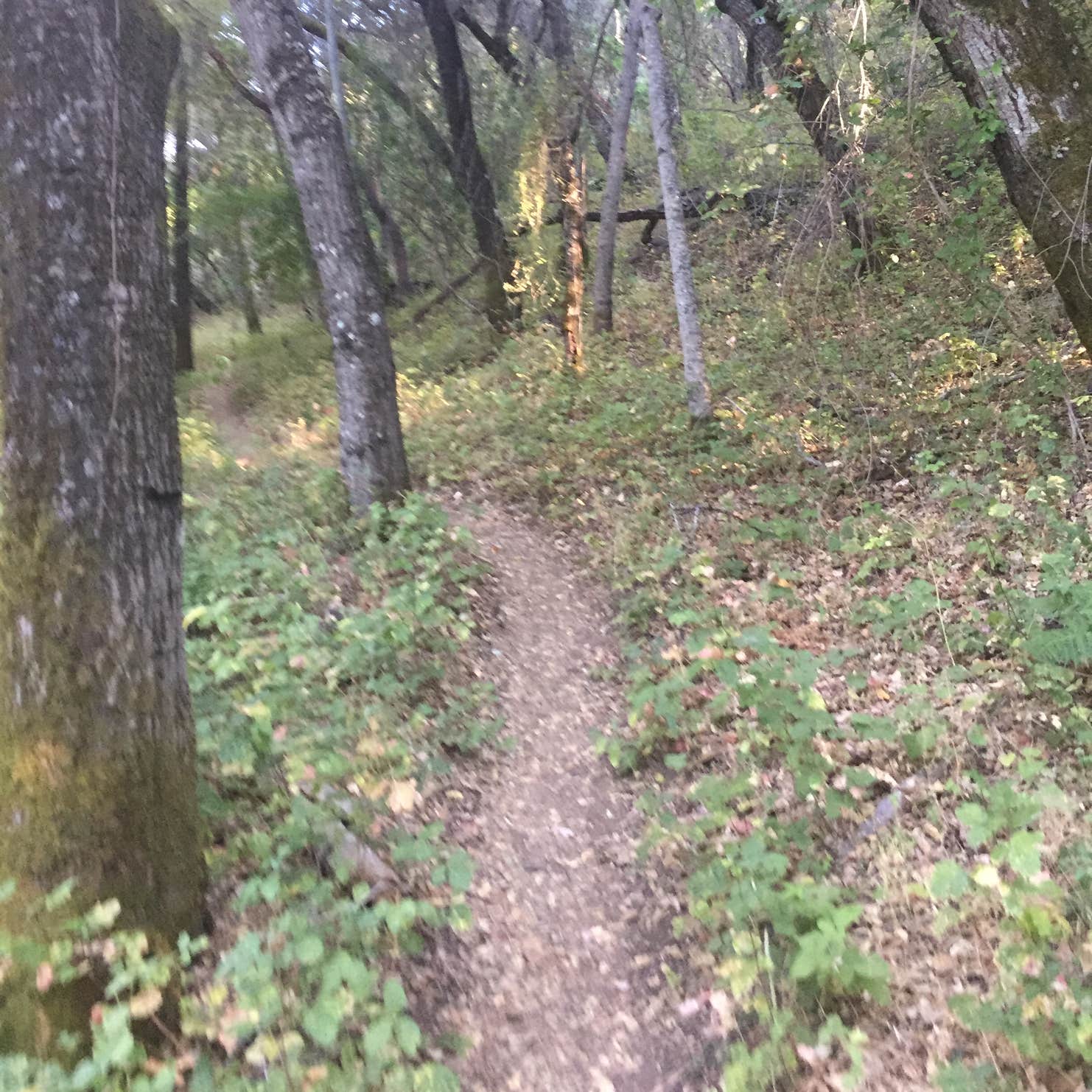 Bluff Camp | Carmel Valley Village, California