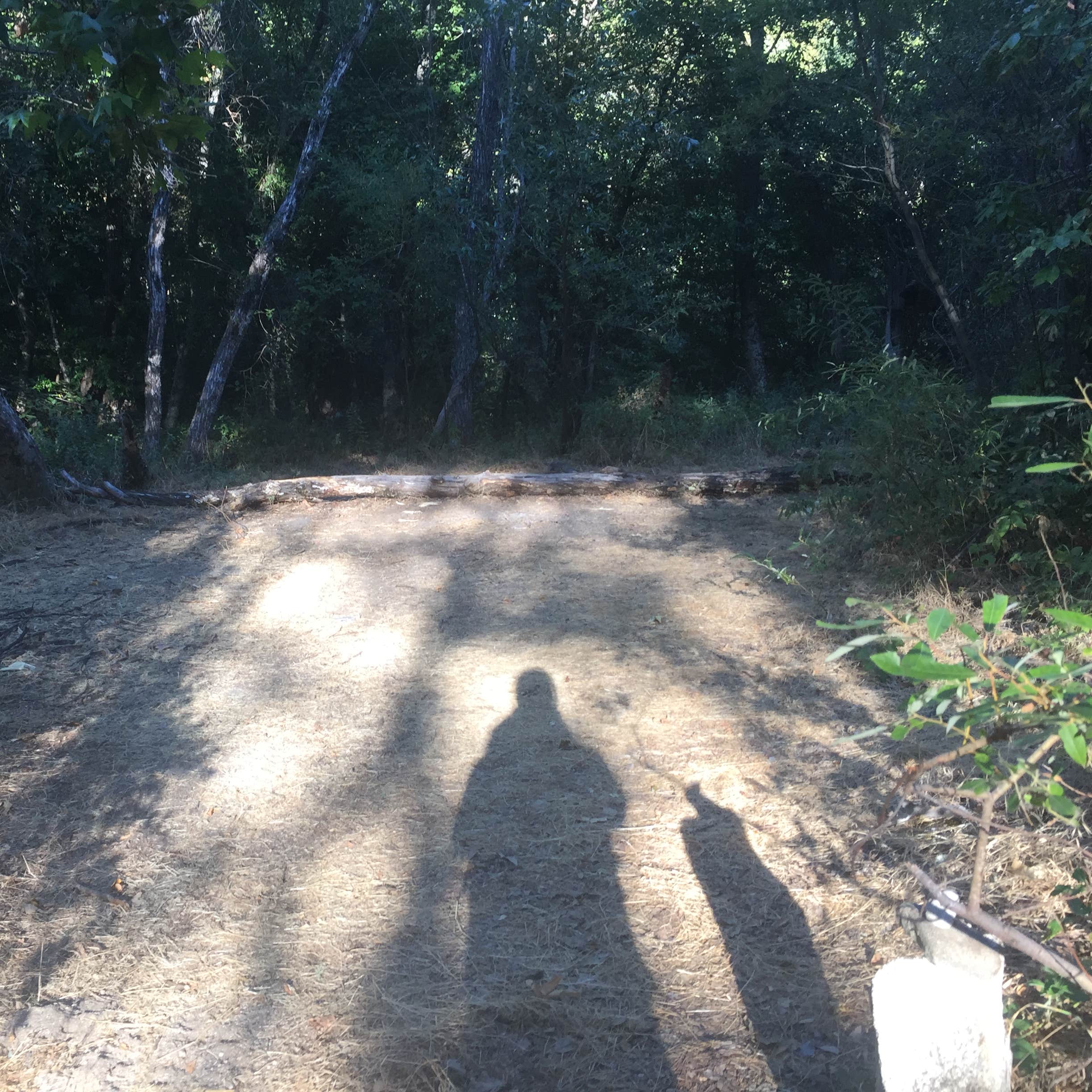 Bluff Camp Camping | The Dyrt