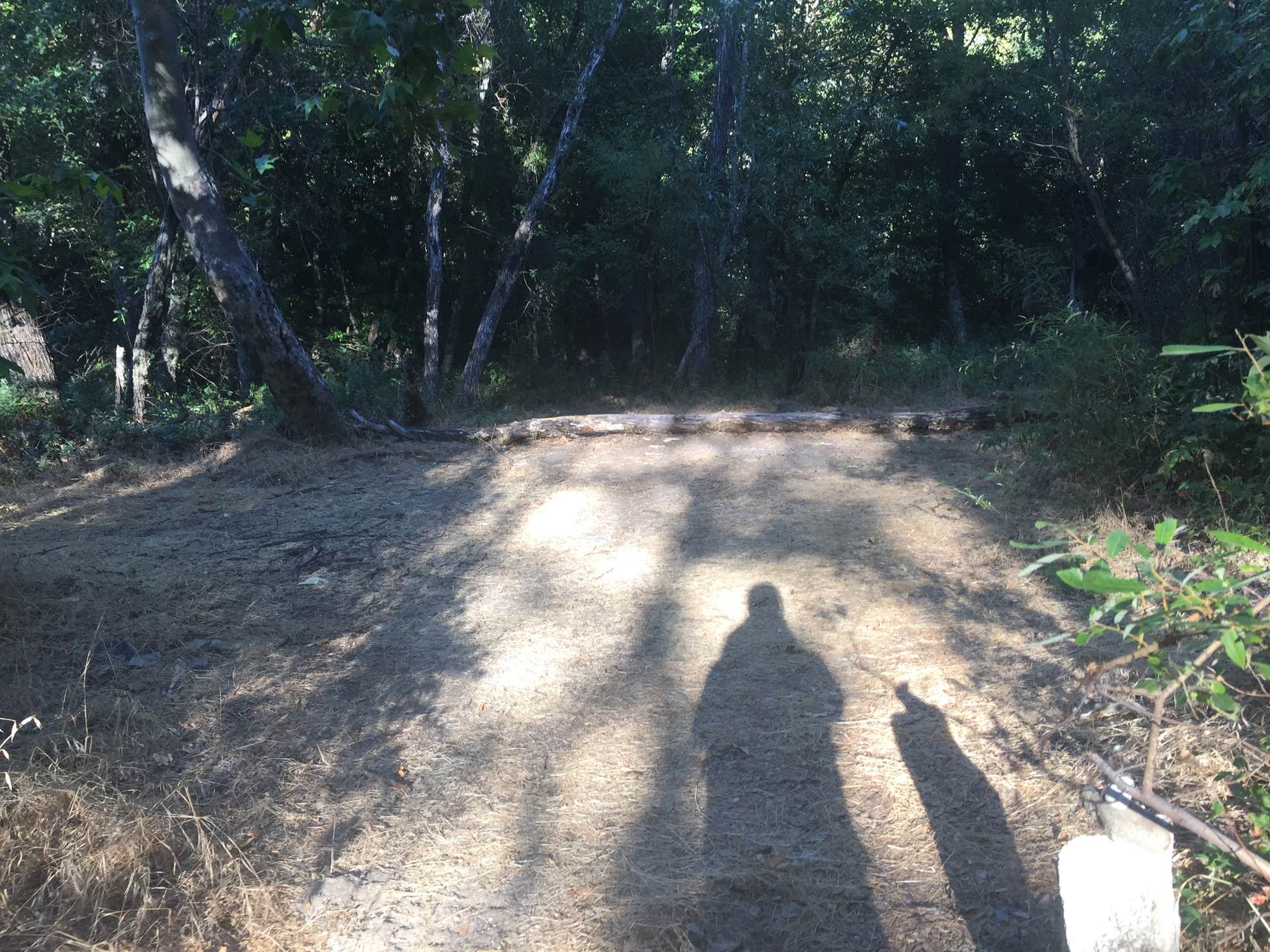 Bluff Camp | The Dyrt