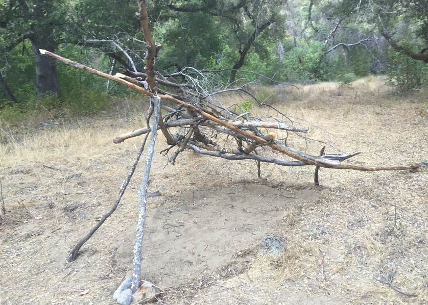 Bluff Camp Camping | The Dyrt