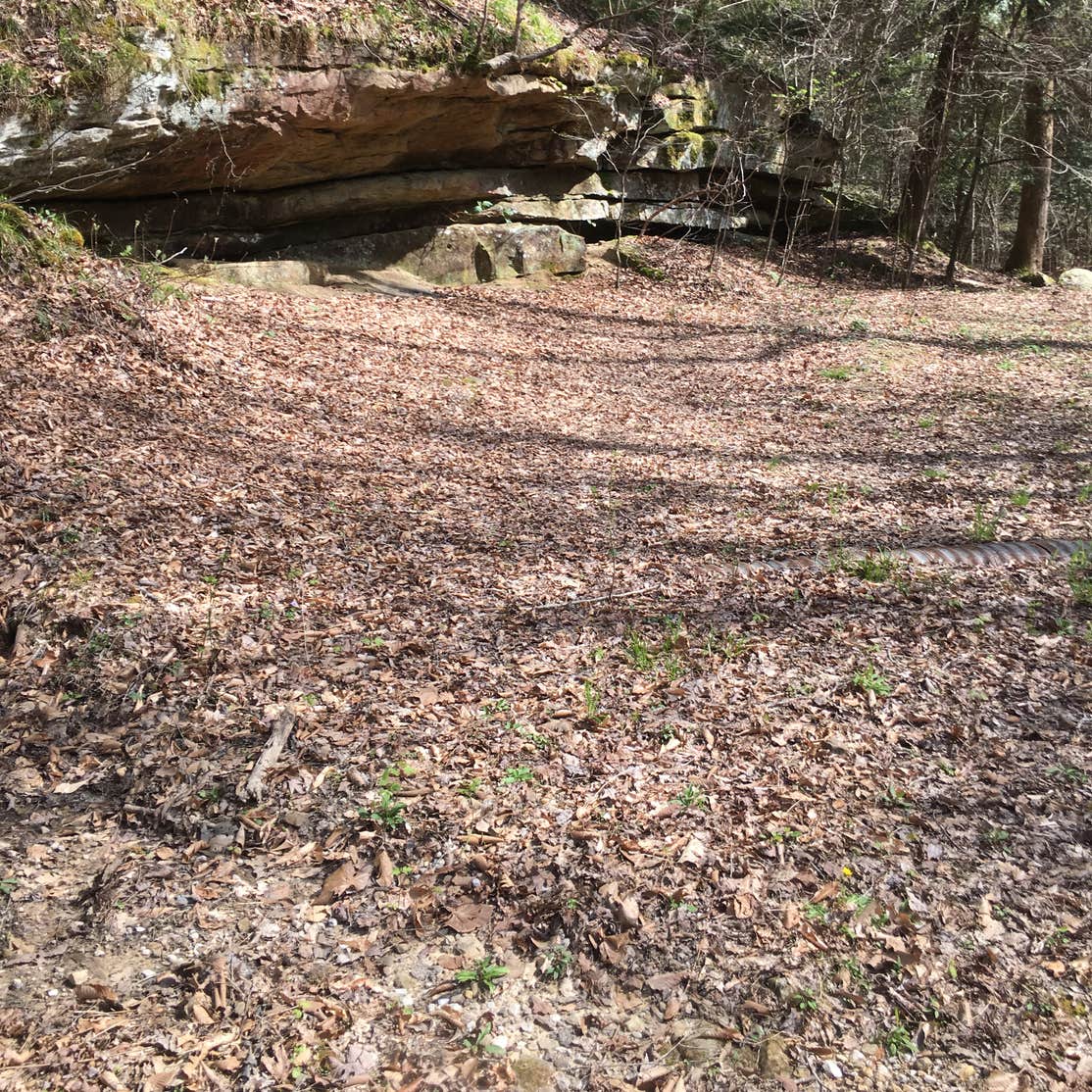 Sipsey Wilderness Backcountry Site (Trail 200 Site A) Camping ...