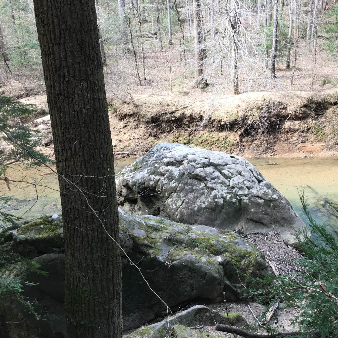 Sipsey Wilderness Backcountry Site (Trail 200 Site B) Camping ...