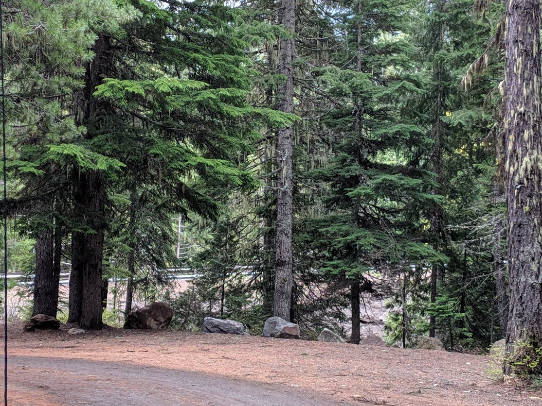 Dog Lake Campground | The Dyrt