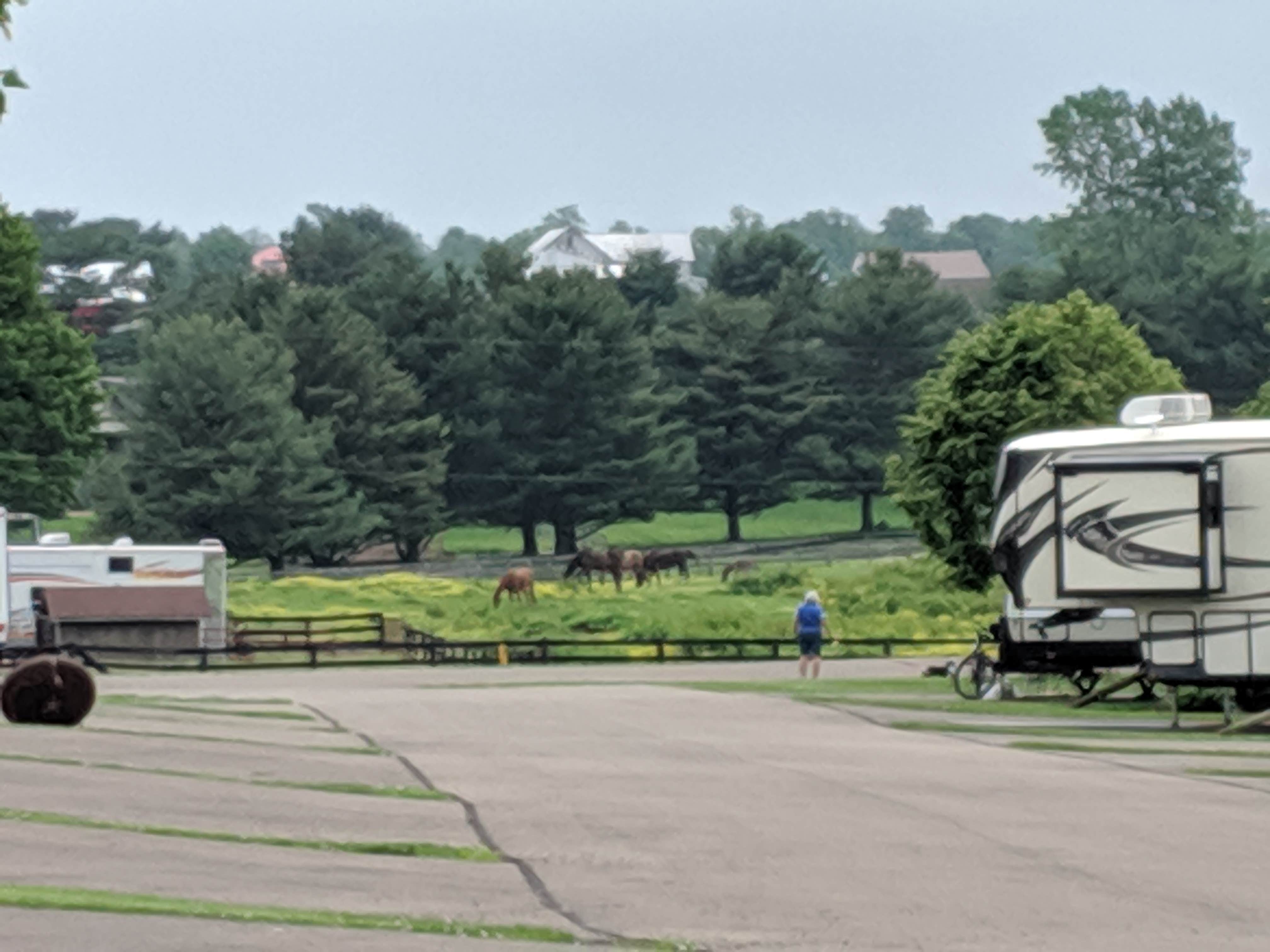Evergreen Park RV Resort | Dundee, OH