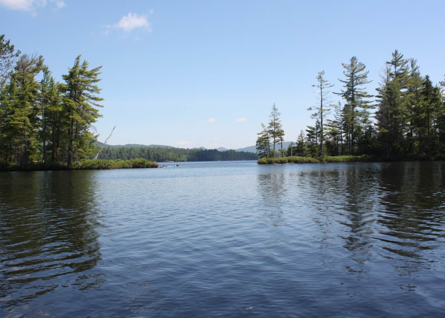 Buck Pond Campground Camping | The Dyrt