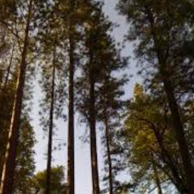 Mammoth Pool Camping | Lakeshore, California