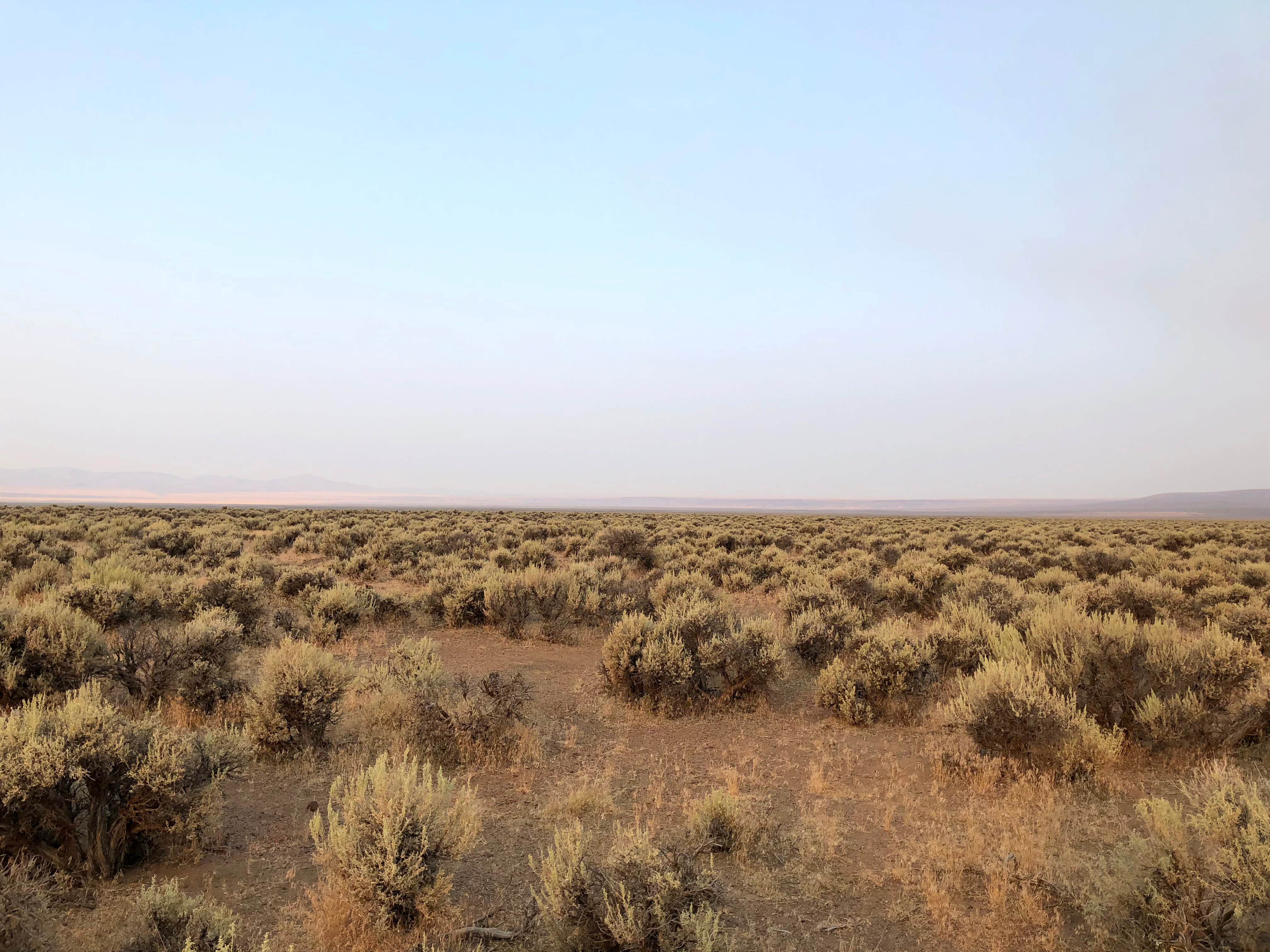 Oregon Sunstone Public Collection Area | The Dyrt