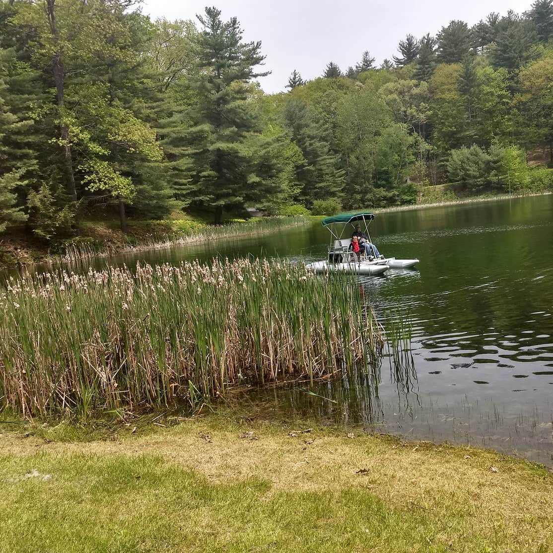 Lake George RV Park Camping | The Dyrt