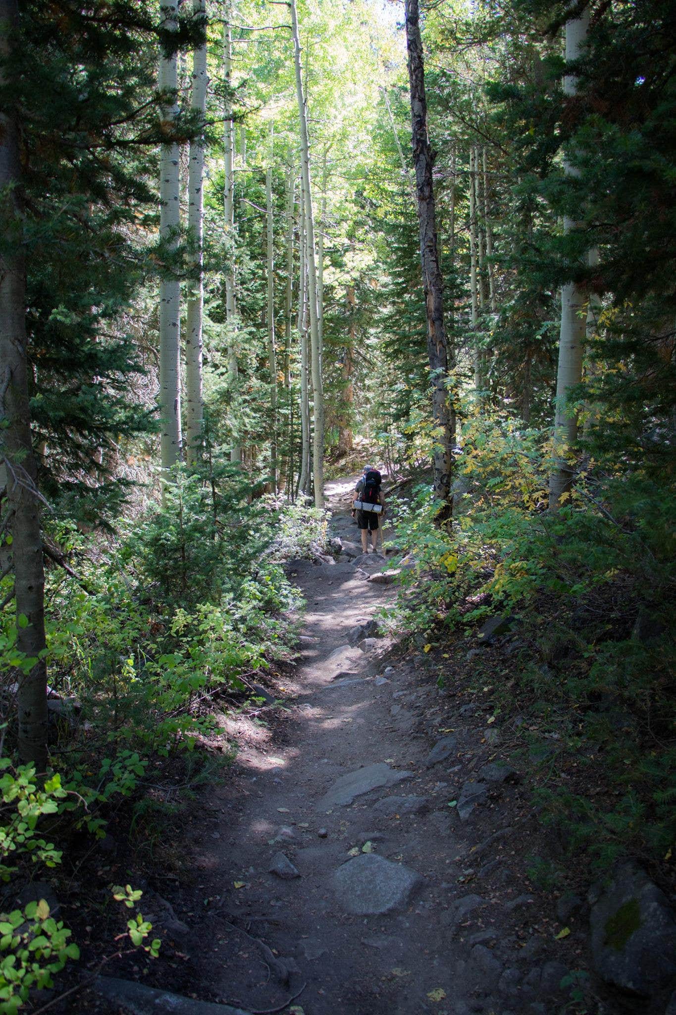 Red Pine Lake Camping | Alta, Utah