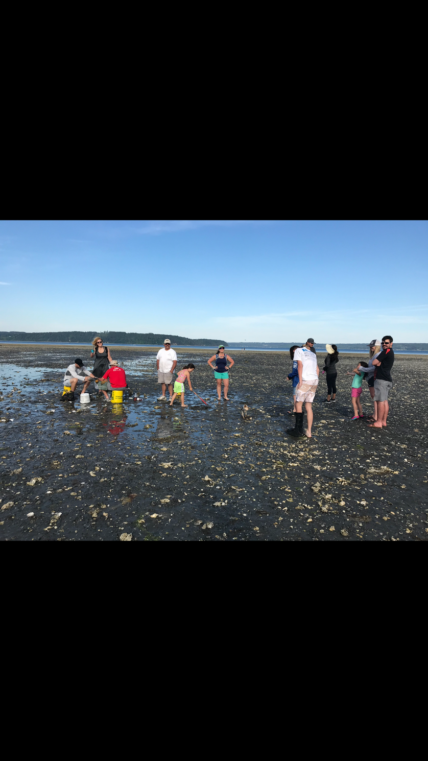 Dosewallips State Park Camping | The Dyrt