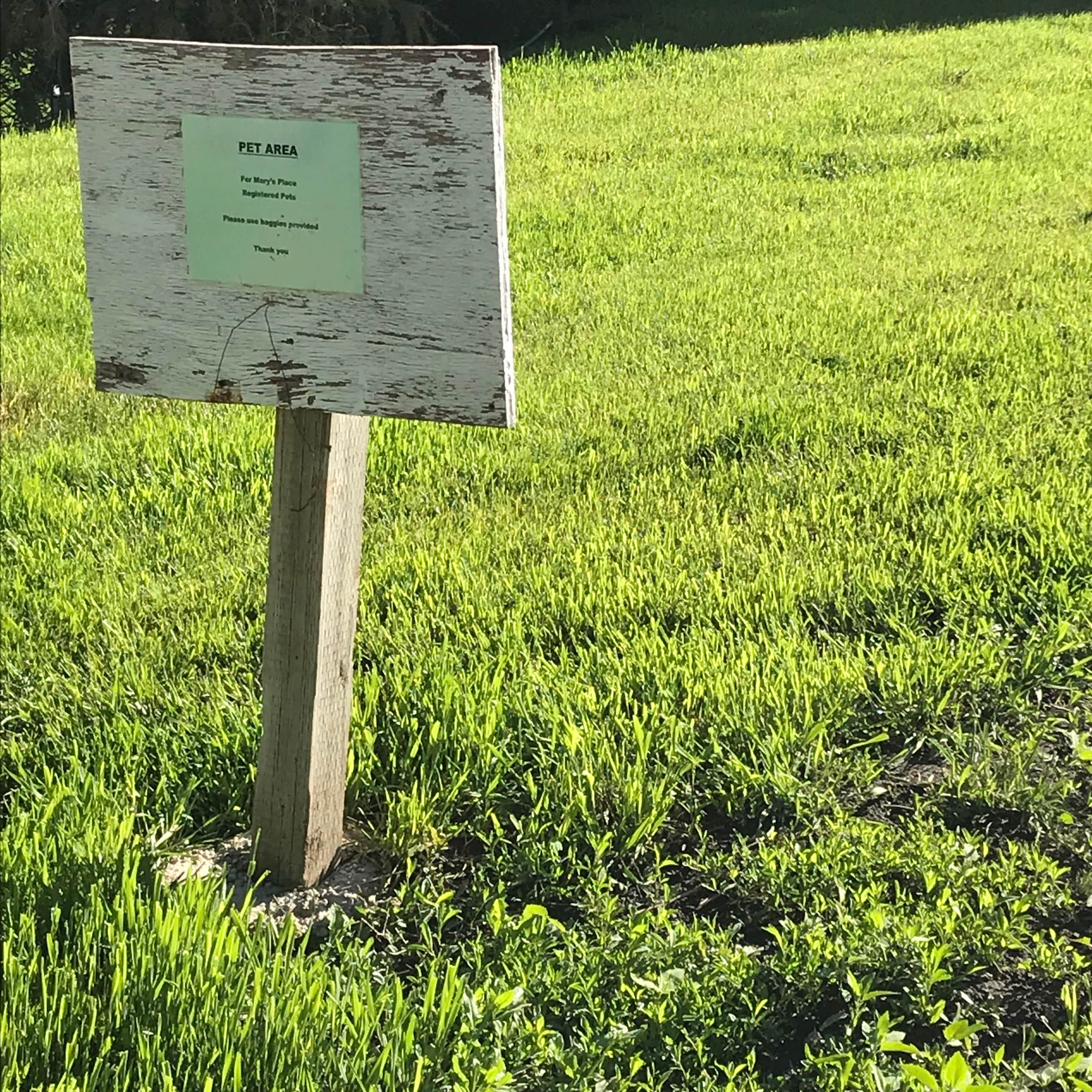 Mary’s Campground Camping | The Dyrt